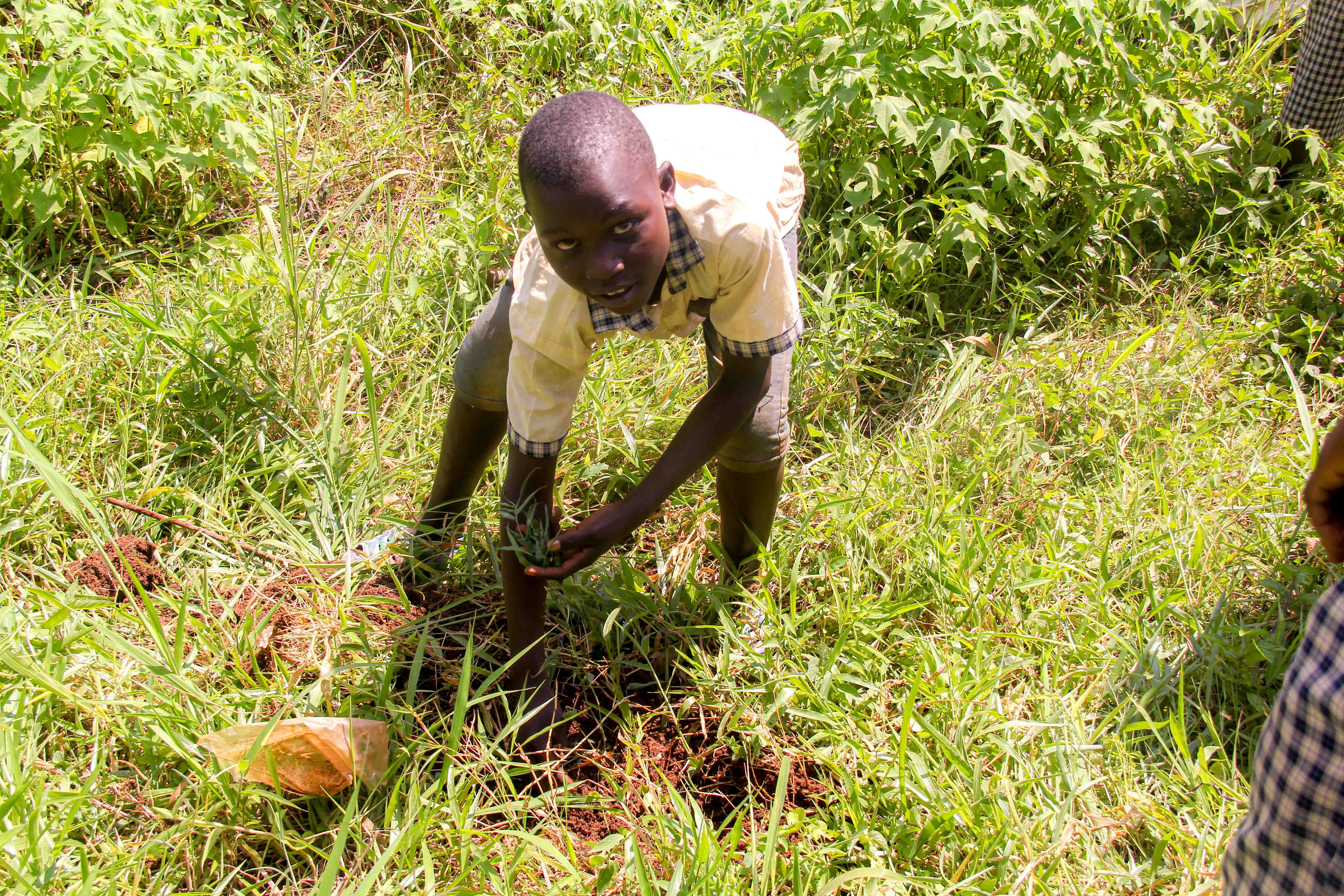 Home - United Soaring Youth Africa (USYA)