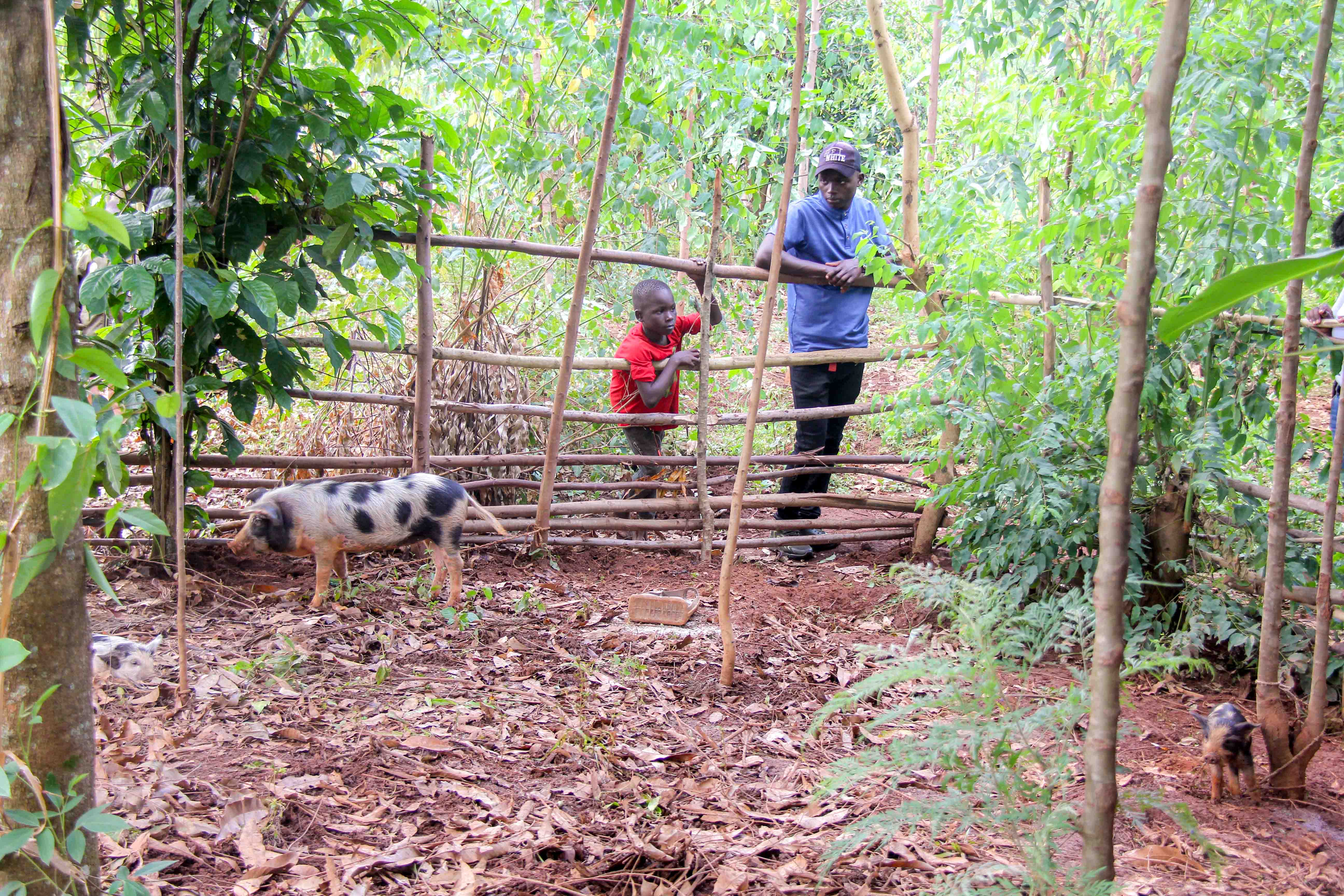 Home - United Soaring Youth Africa (USYA)